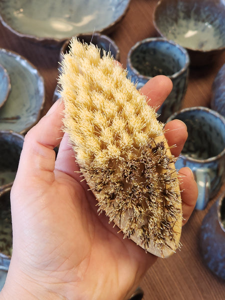 Casa Agave Hand Held Veggie Scrubber - All Natural Materials ...